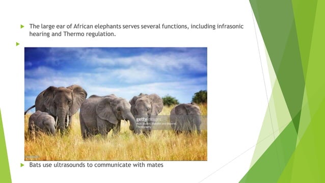 Understanding Environmental Perception: How We Experience and Interpret ...