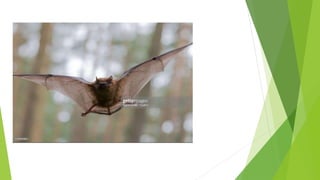 Understanding Environmental Perception: How We Experience and Interpret ...