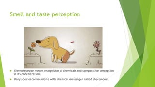 Understanding Environmental Perception: How We Experience and Interpret ...