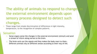 Understanding Environmental Perception: How We Experience and Interpret ...