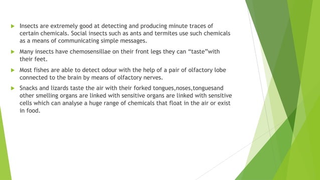 Understanding Environmental Perception: How We Experience and Interpret ...