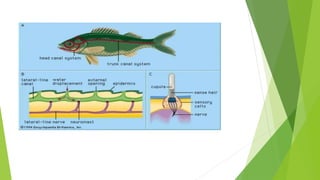 Understanding Environmental Perception: How We Experience and Interpret ...