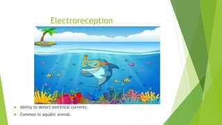 Understanding Environmental Perception: How We Experience and Interpret ...