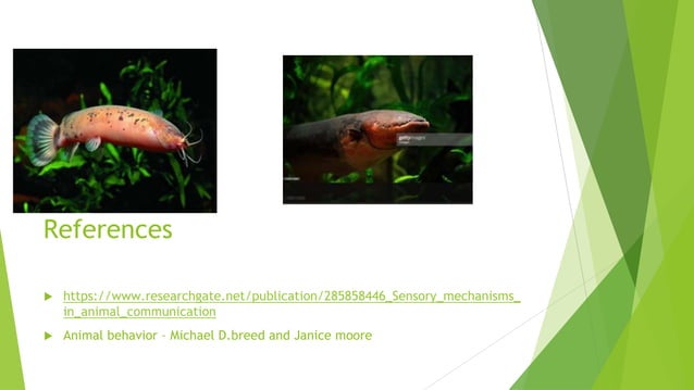 Understanding Environmental Perception: How We Experience and Interpret ...