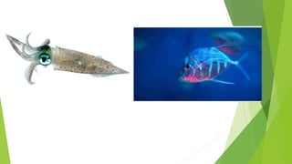 Understanding Environmental Perception: How We Experience and Interpret ...