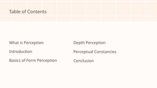 Perception of Form presentation by Khan Rukayya.pptx