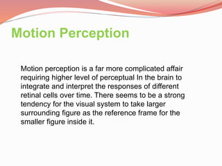 Perception Of Motion