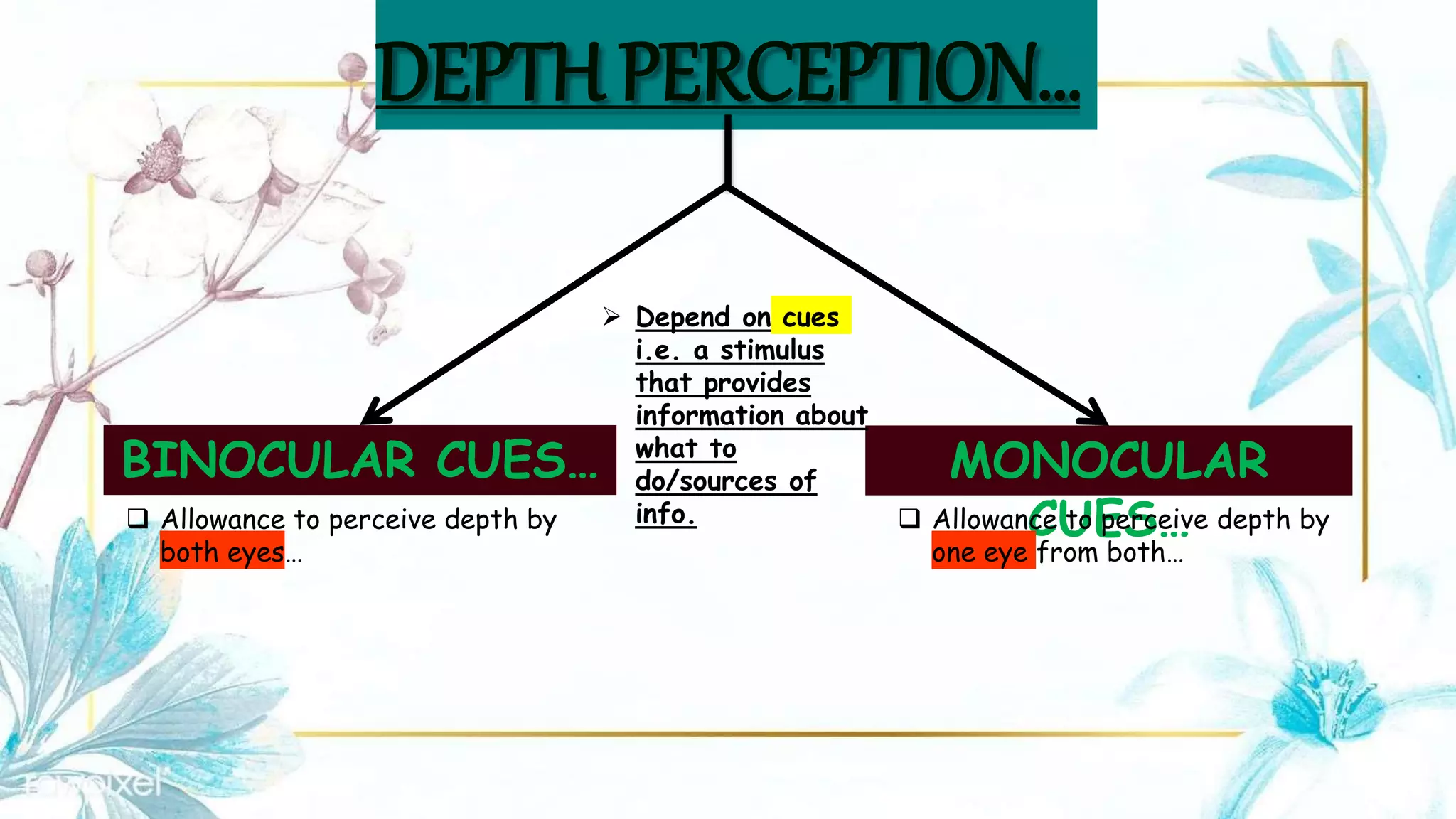 PERCEPTION OF SPACE,DEPTH AND DISTANCE.pptx