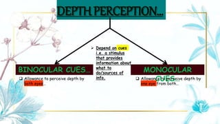 PERCEPTION OF SPACE,DEPTH AND DISTANCE.pptx
