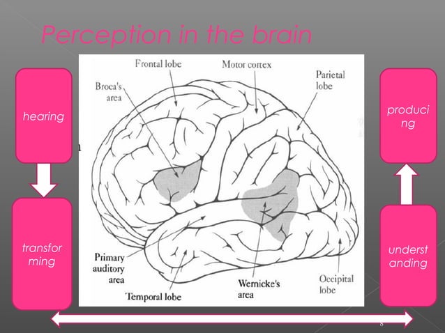 Perception of sounds | PPT | Digital Audio | Computer Software and ...
