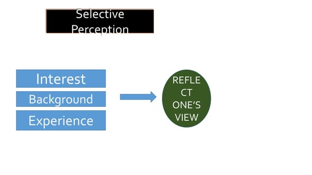 Perception ( organizational behavior) | PPTX