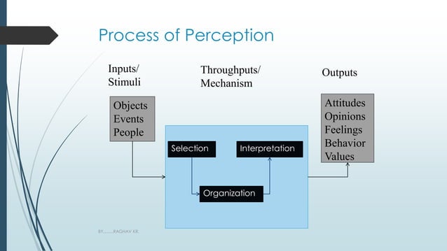 Perception in OB | PDF