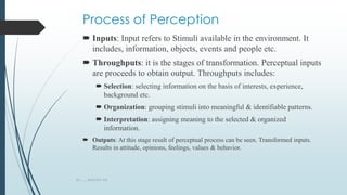 Perception in OB | PDF