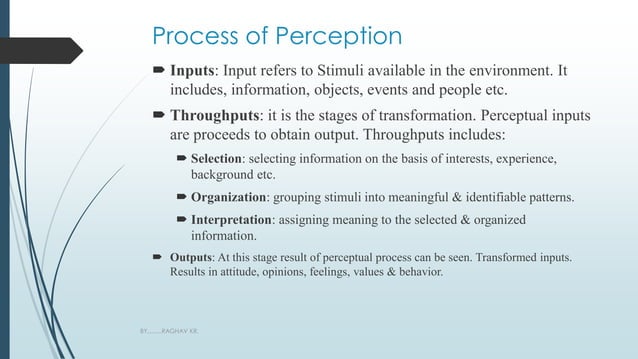 Perception in OB | PDF