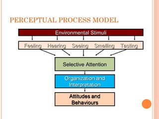 Perception & personality | PPT