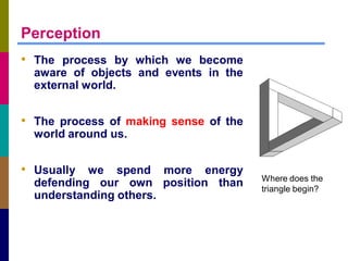 Perception | PDF