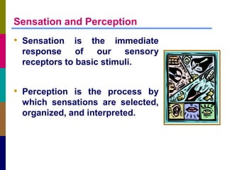 Perception | PDF