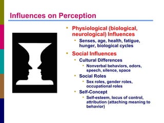 Perception | PDF