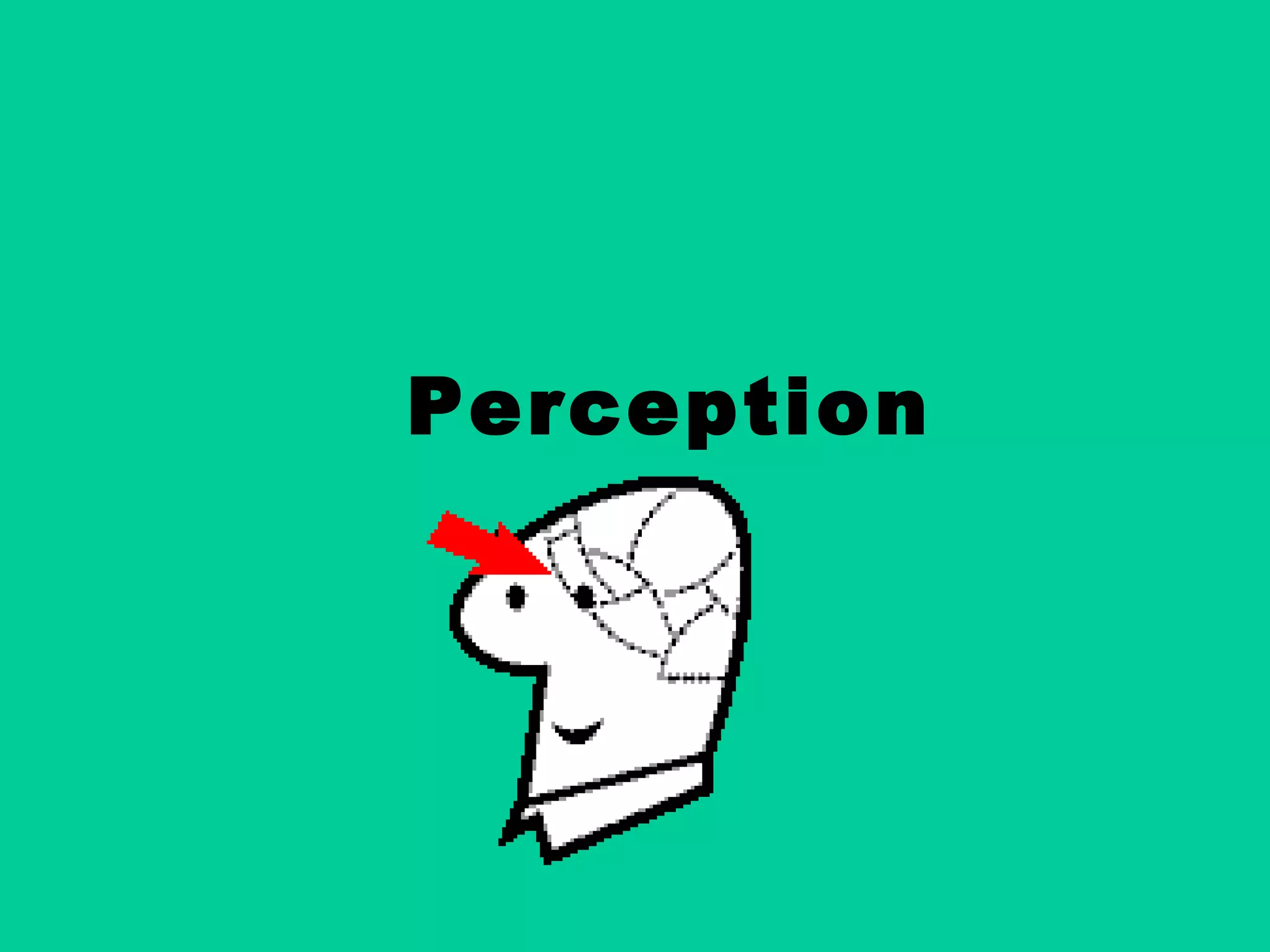 Perception ppt | PPT