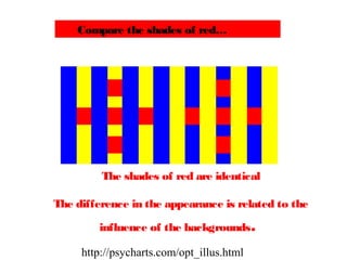 Perception ppt | PPT