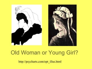 Perception ppt | PPT