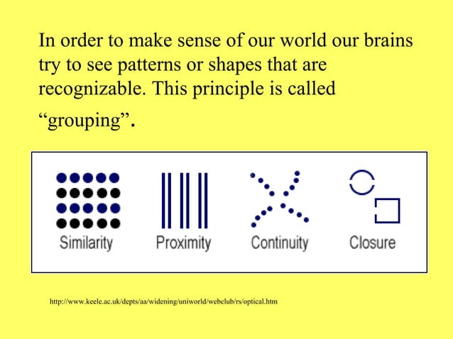 Perception ppt | PPT | Science