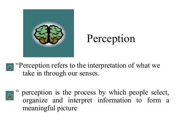 Perception ppt