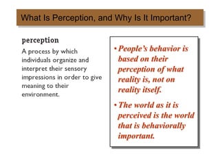 perception_ppt.ppt