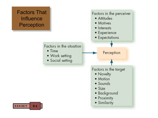 perception_ppt.ppt