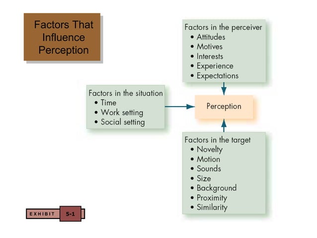perception_ppt.ppt
