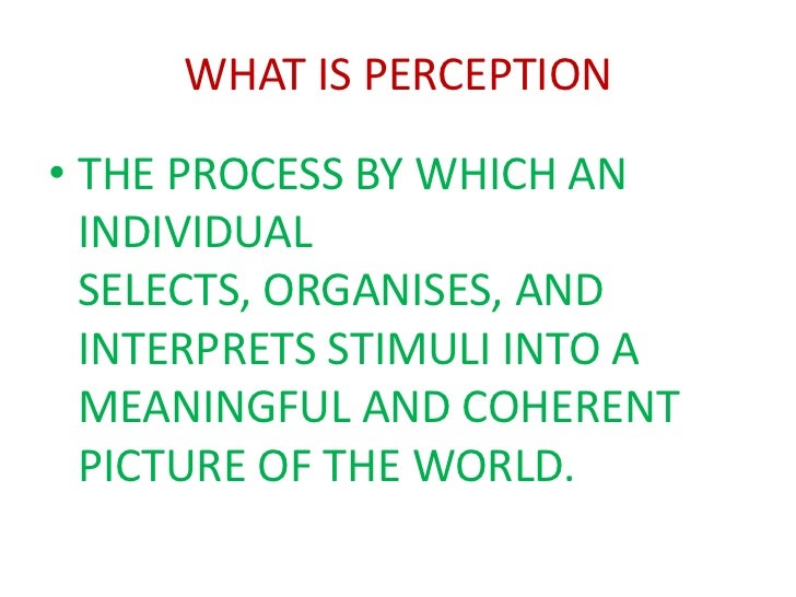 Perception Ppt New