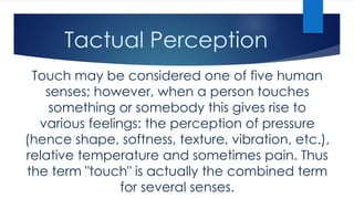 Perception | PPT