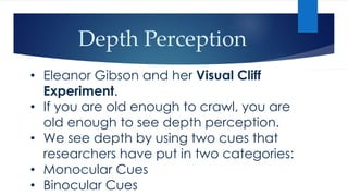 Perception | PPTX