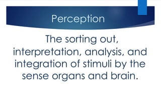 Perception | PPT