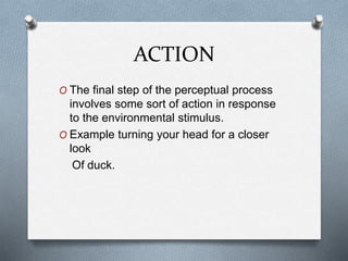 Perception,memory and attitude presentation | PPTX