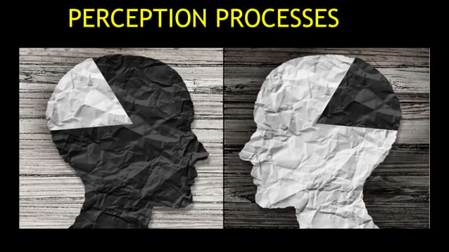 perception processes | PPT