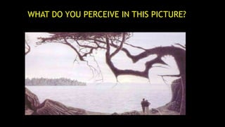 perception processes | PPT