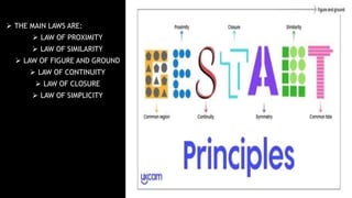 perception processes | PPT