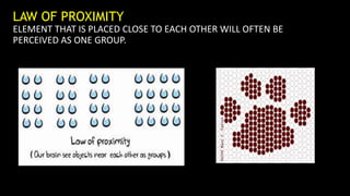 perception processes | PPT