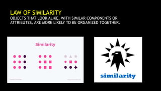 perception processes | PPT