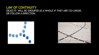 perception processes | PPT