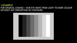 perception processes | PPT