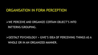 perception processes | PPT
