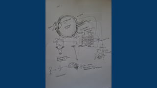 Perception Project.pdf