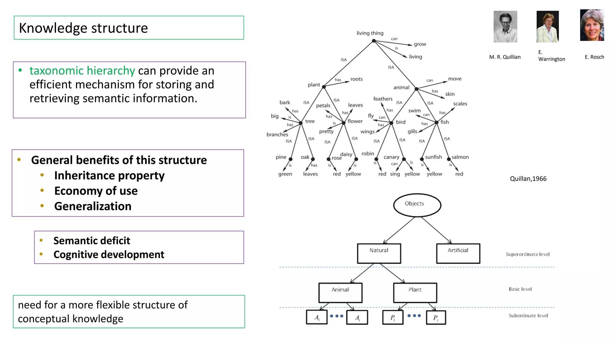 Perception Representation Structure And Recognition Ppt 7850