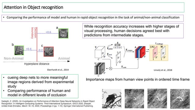 Perception, representation, structure, and recognition | PPT