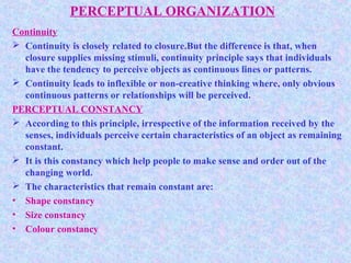 Perception revised | PPT