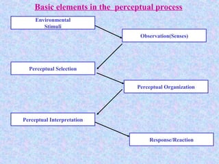 Perception revised | PPT