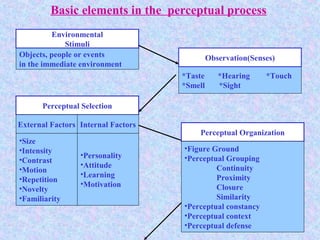 Perception revised | PPT