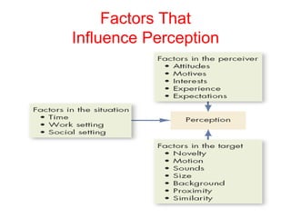 Perceptions in management | PPT